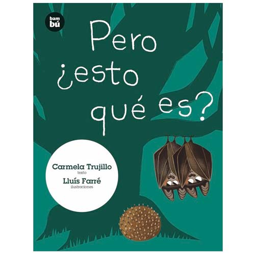 Pero ¿esto qué es? - PIE DE PAGINA